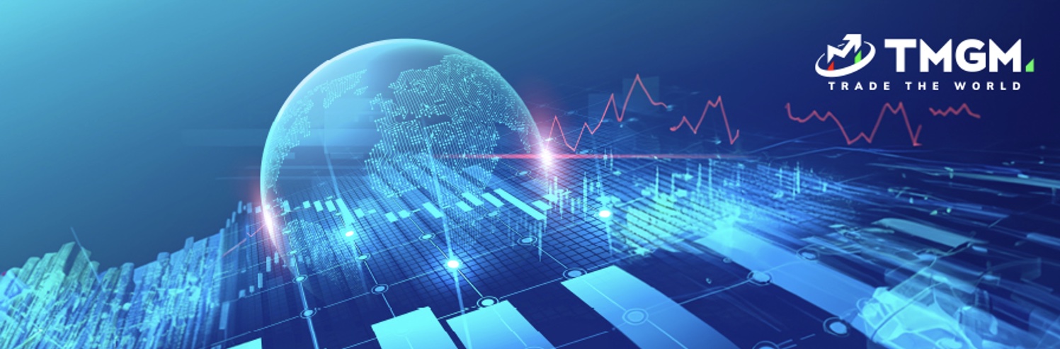 TMGM Partners with VFSC for Symposium on Class D License, Prepares to Obtain Accreditation